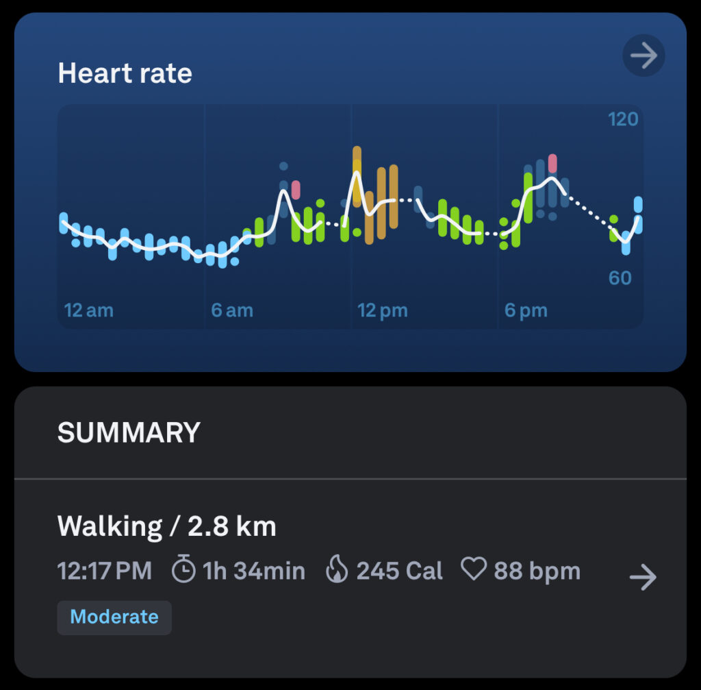 How the Oura Ring has Impacted my Health | Brand Creator & Calligrapher